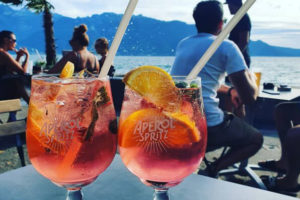 Home - The Happy Turtle Straw