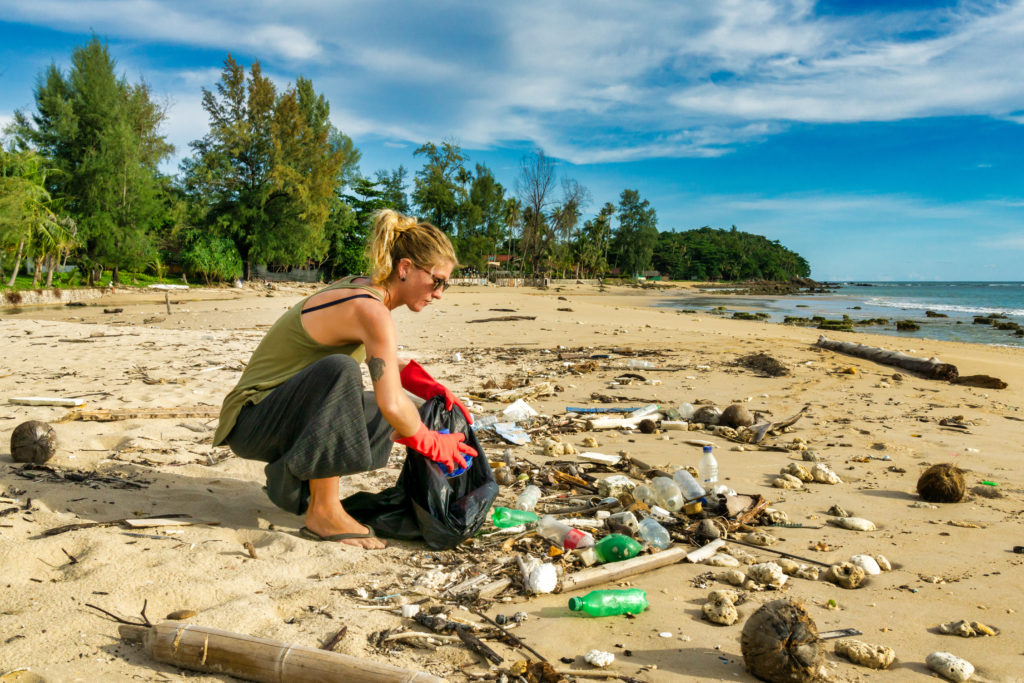 Imagine A World Without Plastics - The Happy Turtle Straw