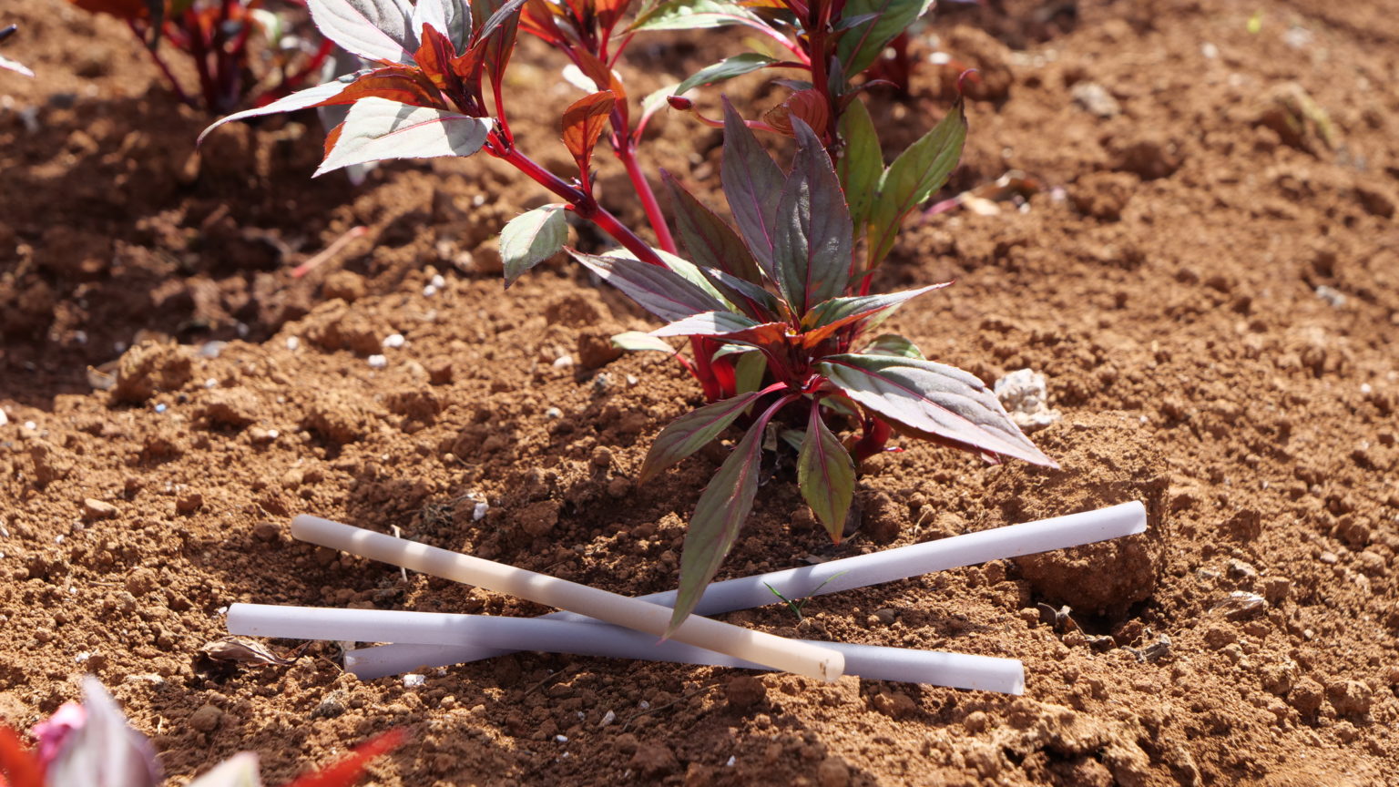 5 Reasons Why You Should Use The Happy Turtle Straw over Plastic Straws ...