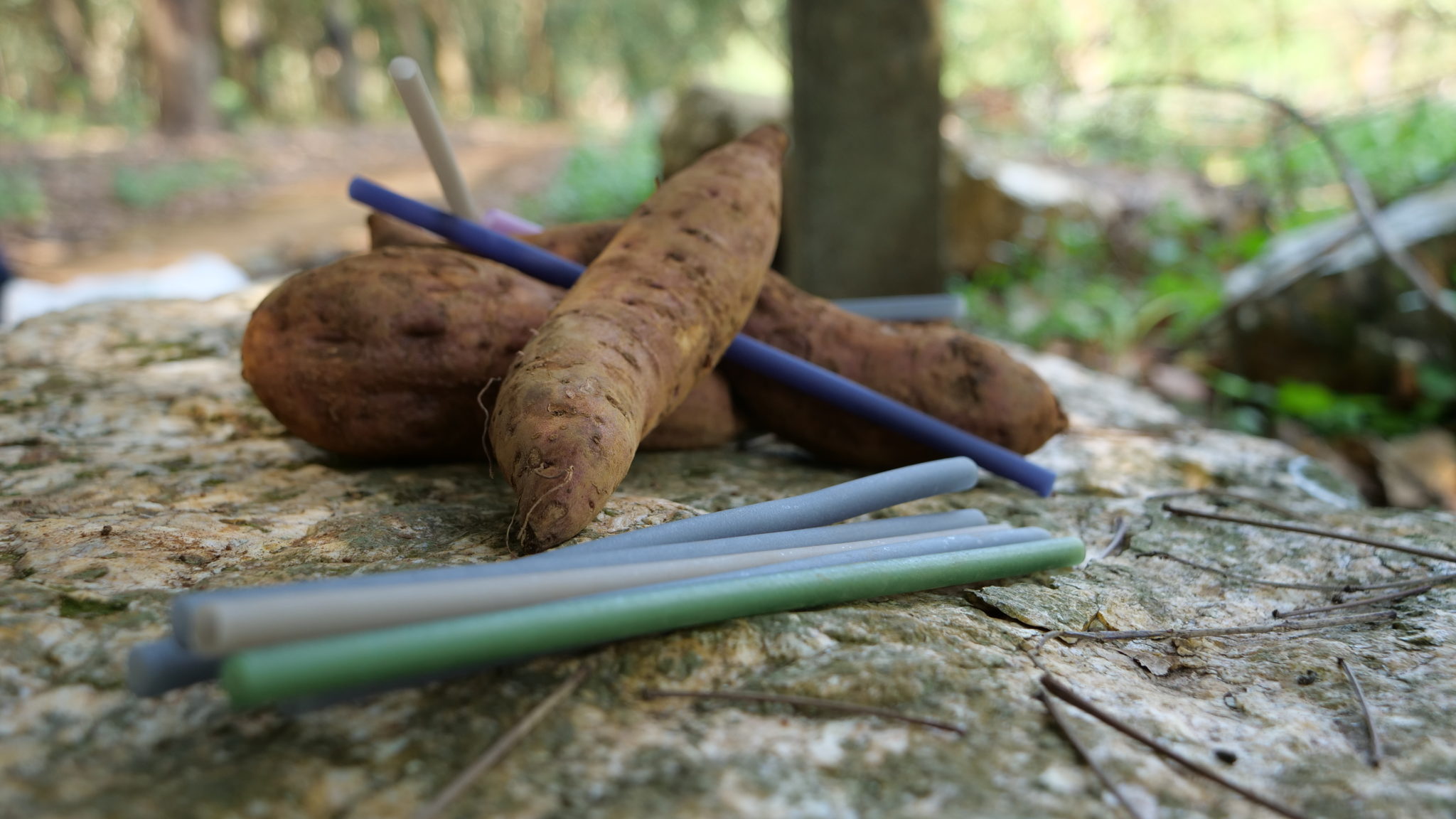 5 Reasons Why You Should Use The Happy Turtle Straw over Plastic Straws ...