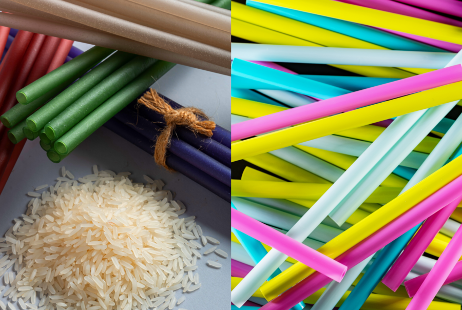 Blog - The Happy Turtle Straw