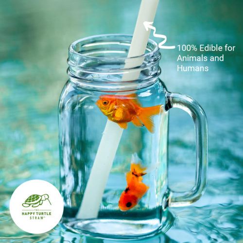 Paper Straws: Are They Really Good For Our Planet? - The Happy Turtle Straw