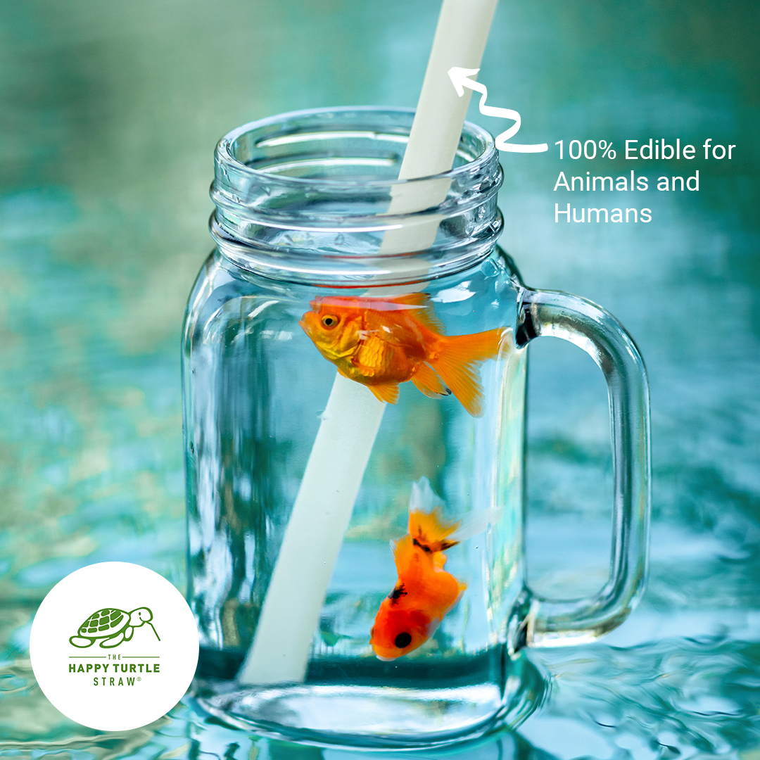 Paper Straws: Are They Really Good For Our Planet? - The Happy Turtle Straw