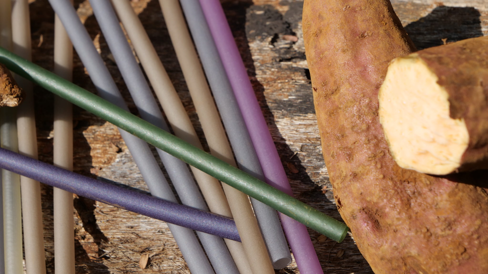 Paper Straws: Are They Really Good For Our Planet? - The Happy Turtle Straw