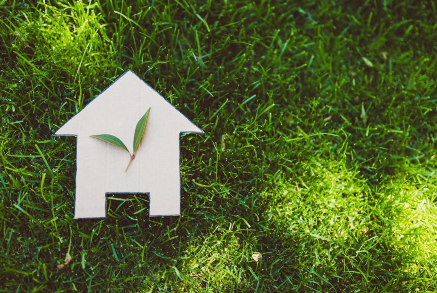 Blog - The Happy Turtle Straw