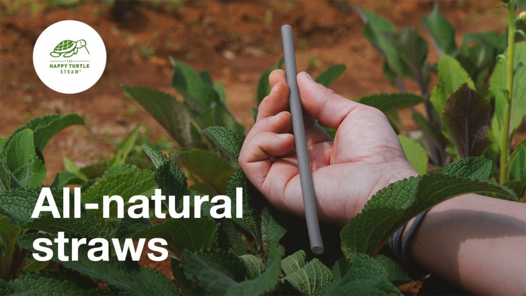 8 Easy Ways To Be More Sustainable At Home - The Happy Turtle Straw