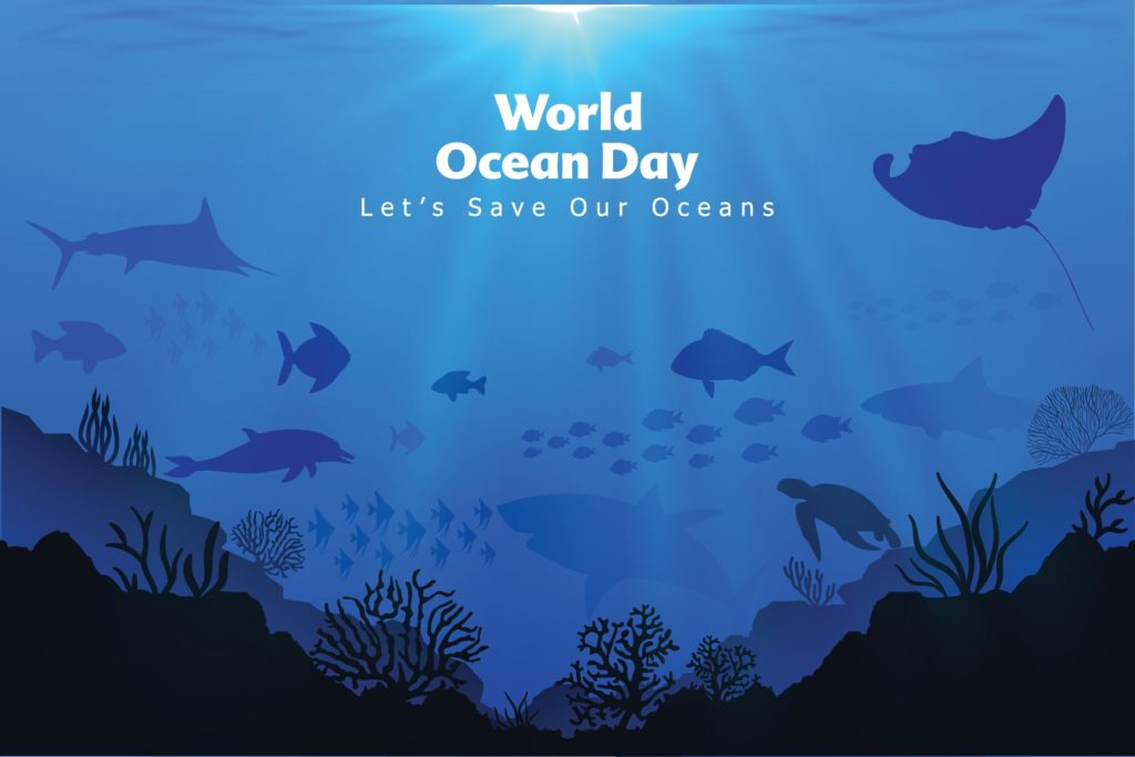 Strategies For Ocean Conservation - The Happy Turtle Straw