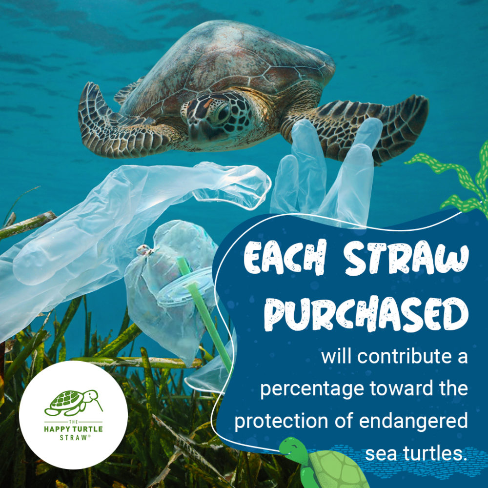 Impacts Of Ocean Pollution On Marine Life: How Animals Are Affected ...