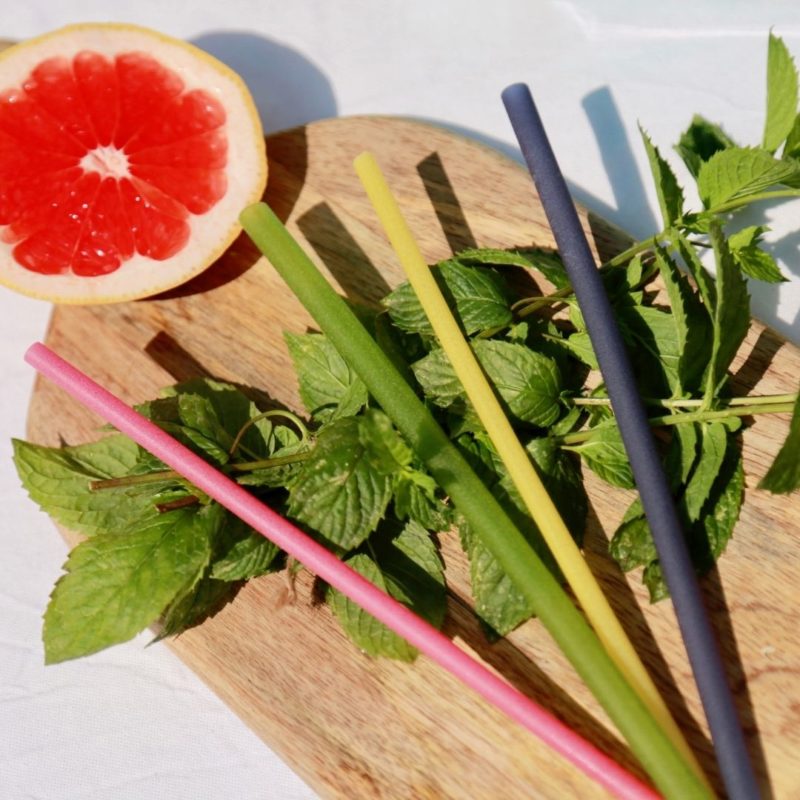 Home - The Happy Turtle Straw