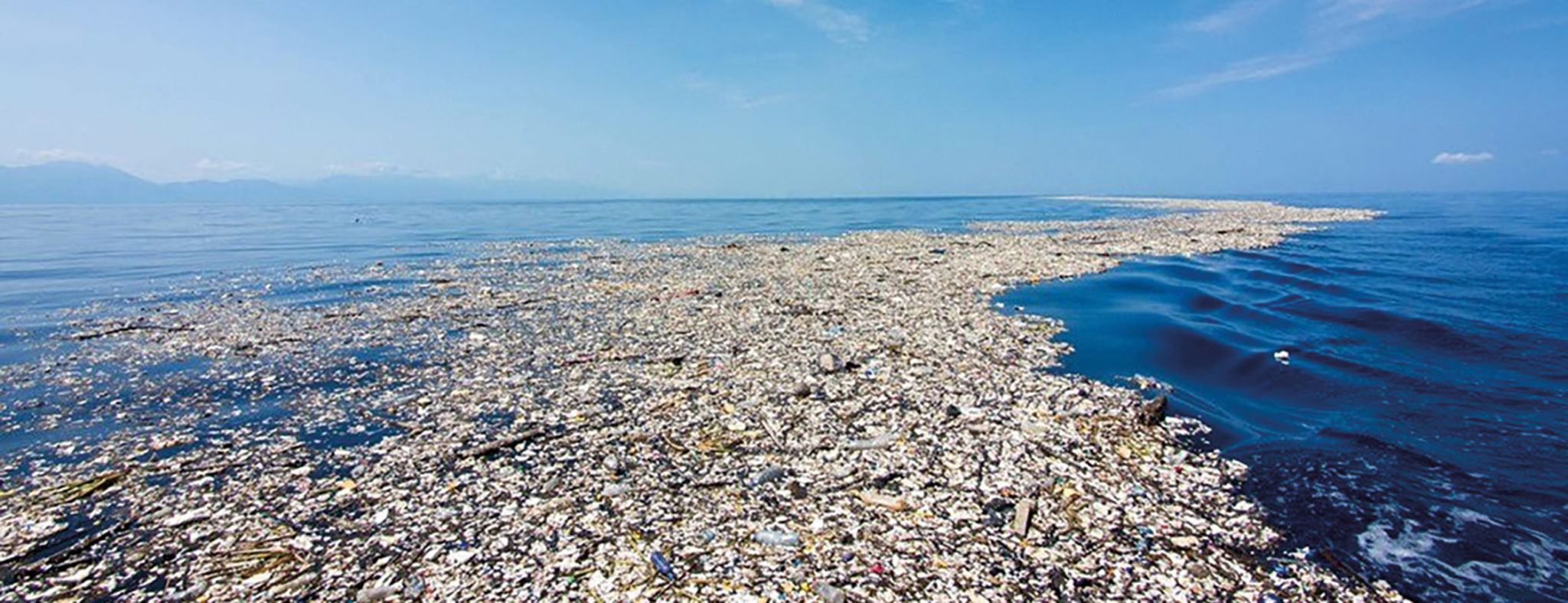 Have you heard about the Great Pacific Garbage Patch, the Plastic ...