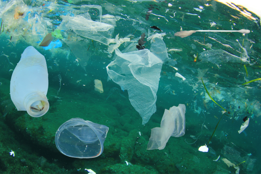 Have you heard about the Great Pacific Garbage Patch, the Plastic ...