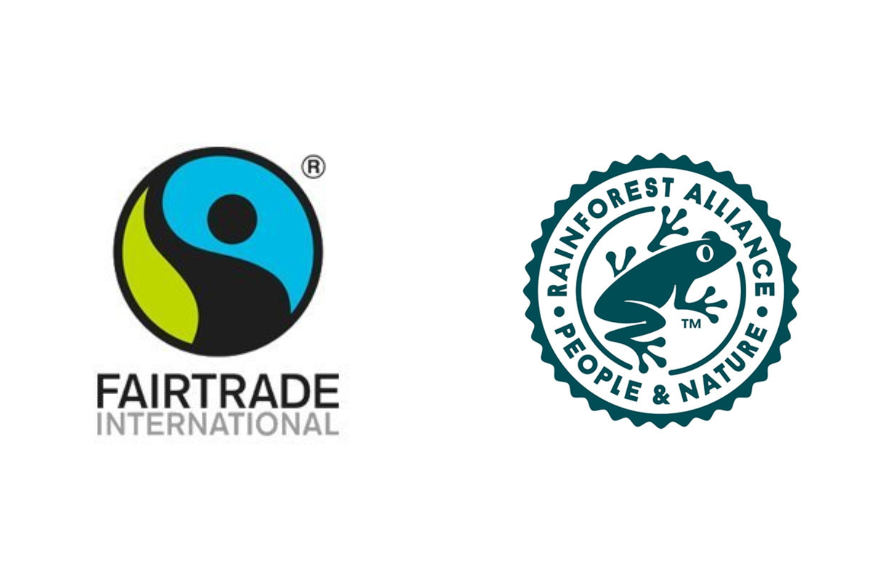 Tips to Fight Deforestation in Your Everyday Life - The Happy Turtle Straw