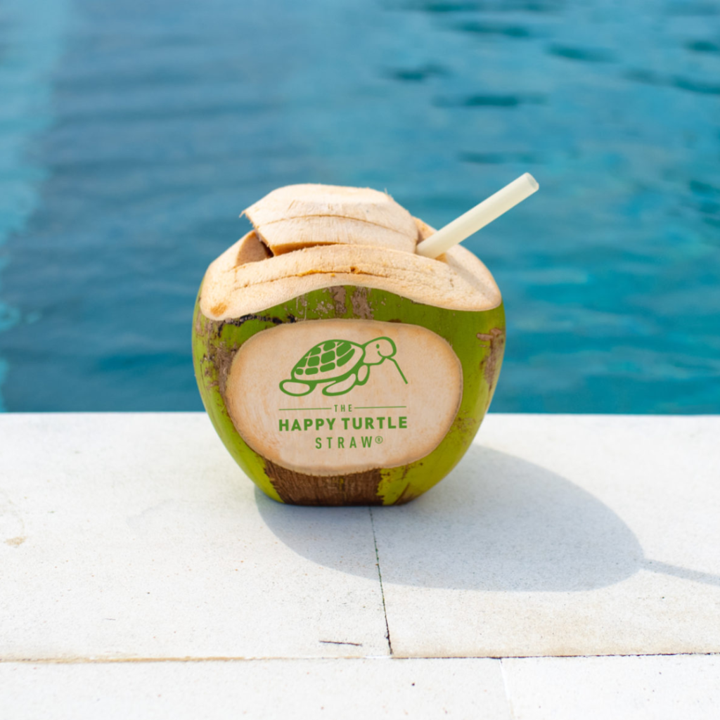 Our Products - The Happy Turtle Straw