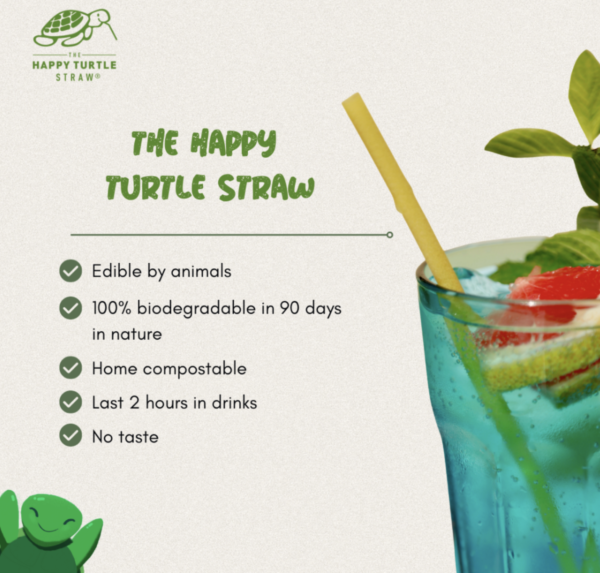 The Hidden Consequences of Single-Use Plastic Straws - The Happy Turtle Straw