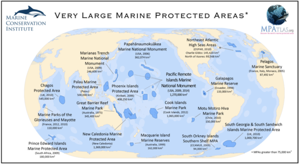 Safeguarding Our Oceans: The Vital Role of Marine Protected Areas - The ...