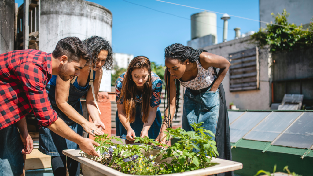 The Water Crisis: Challenges and Solutions - The Happy Turtle Straw