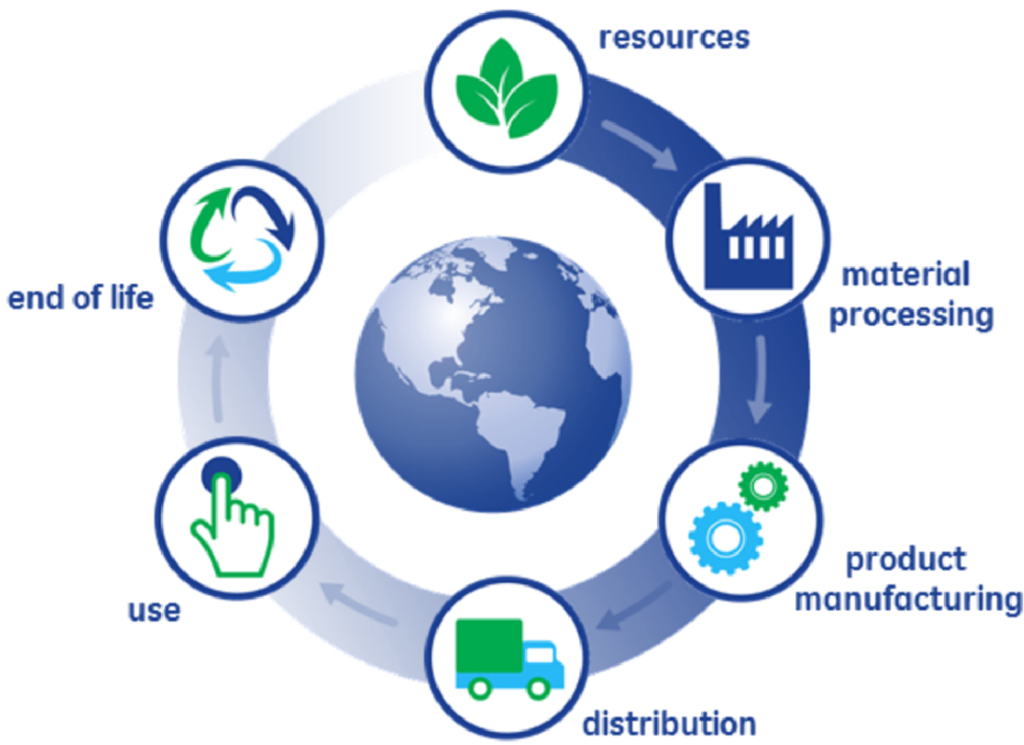 The Carbon Footprint of Paper Decomposition - The Happy Turtle Straw