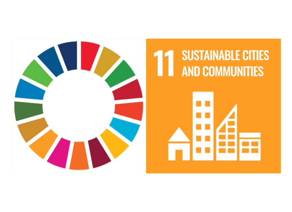 The Role of Cities in Achieving Sustainable Development Goals - The ...