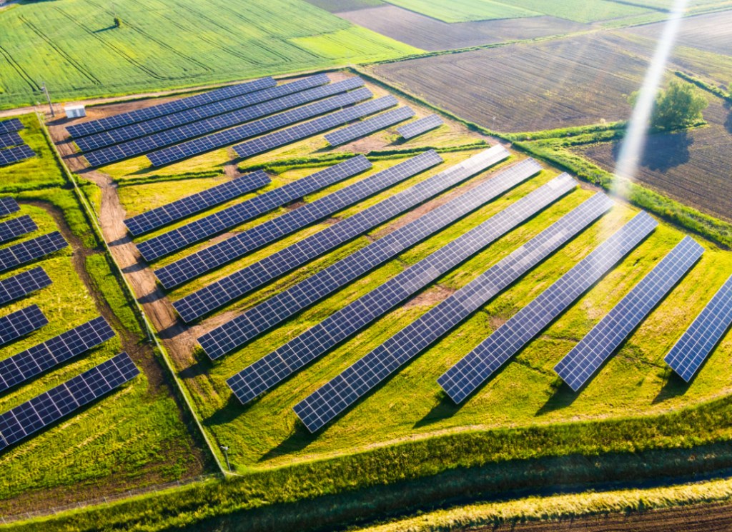 The Rise of Eco-Friendly Technologies - The Happy Turtle Straw