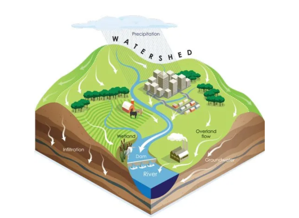 From Land to Sea: Examining the Role of River and Coastal Runoff in ...