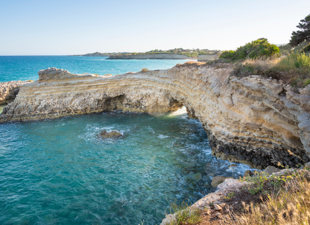 What are Marine Protected Areas and why are they crucial for our oceans ...
