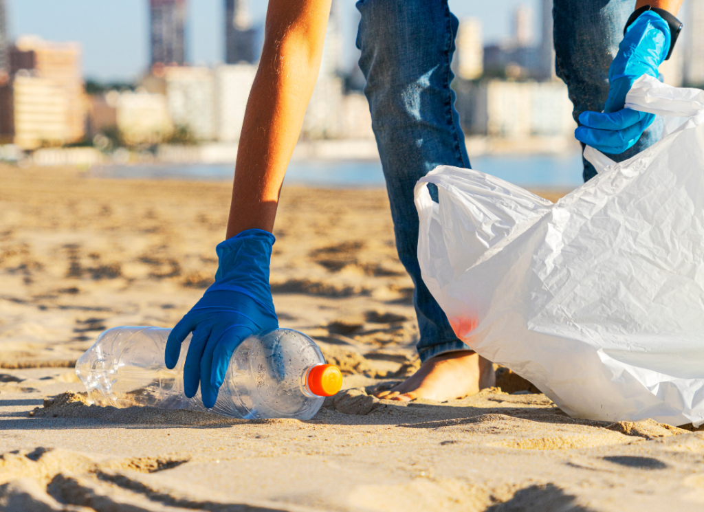 Ways Individuals Can Support Marine Life Conservation - The Happy ...