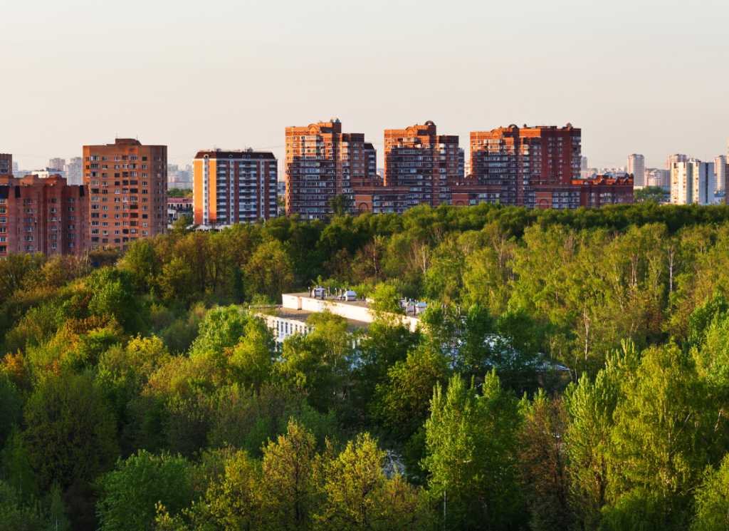 What are the causes and effects of deforestation around the world ...