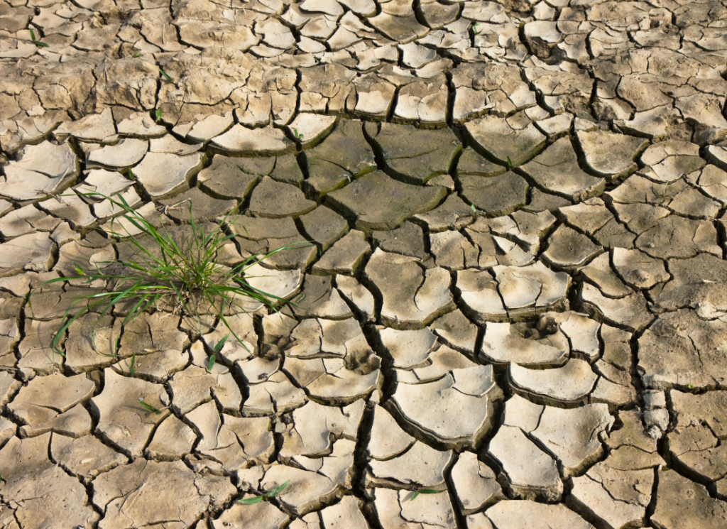 What are the causes and consequences of desertification? - The Happy ...