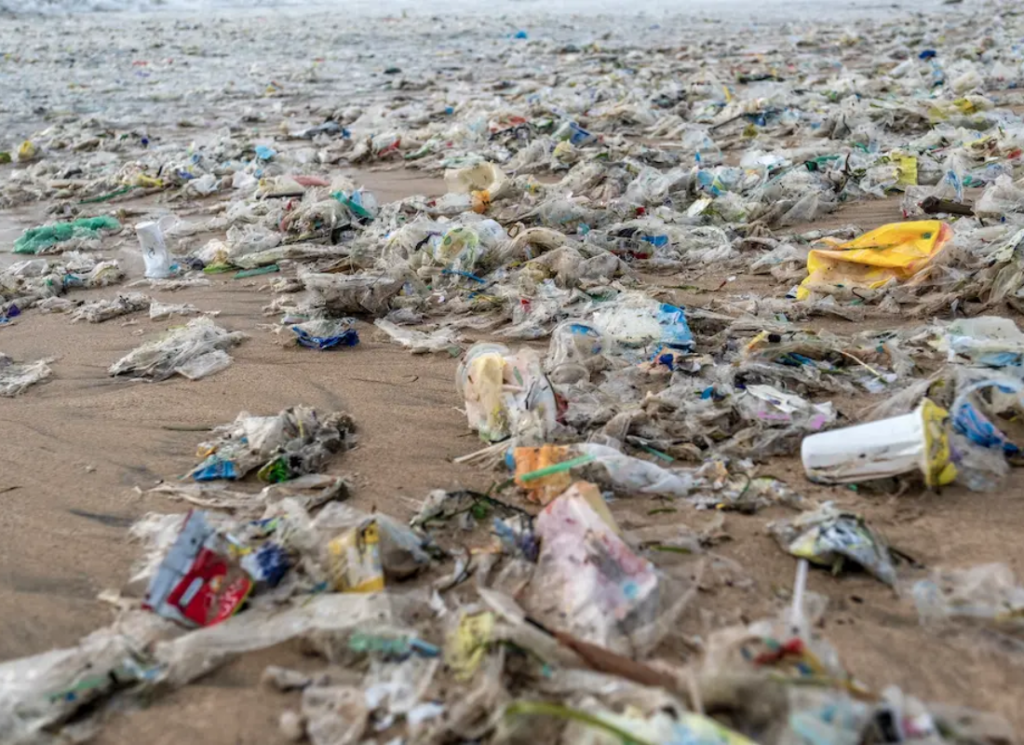 History and Development of Plastics - The Happy Turtle Straw