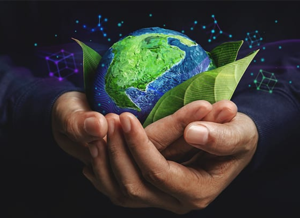 How to include environmental subjects in schools? - The Happy Turtle Straw