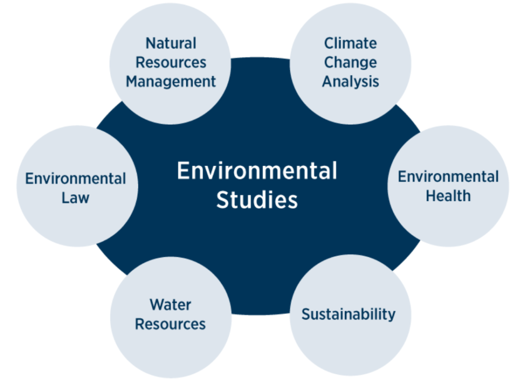 How to include environmental subjects in schools? - The Happy Turtle Straw