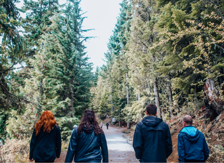 The Ripple Effect: Consequences of Animal Extinction in Ecosystems ...