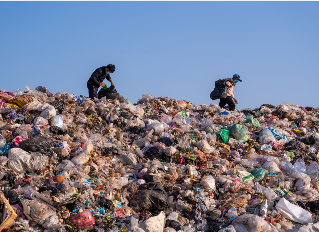 The State of Recycling in the World Today: Progress, Challenges, and ...