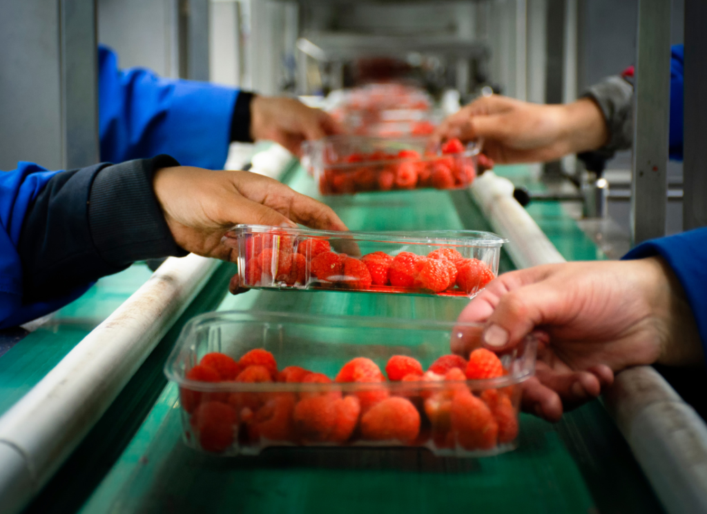 The Global Crisis of Food Waste: Causes, Consequences, and Solutions ...