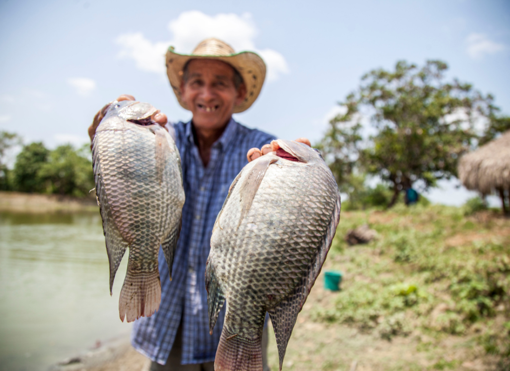 Sustainable Fishing Recommended by Scientists for a Better Future - The ...