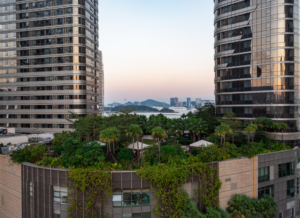 Urban Green Spaces: Why Cities Need More Parks and Tree - The Happy ...
