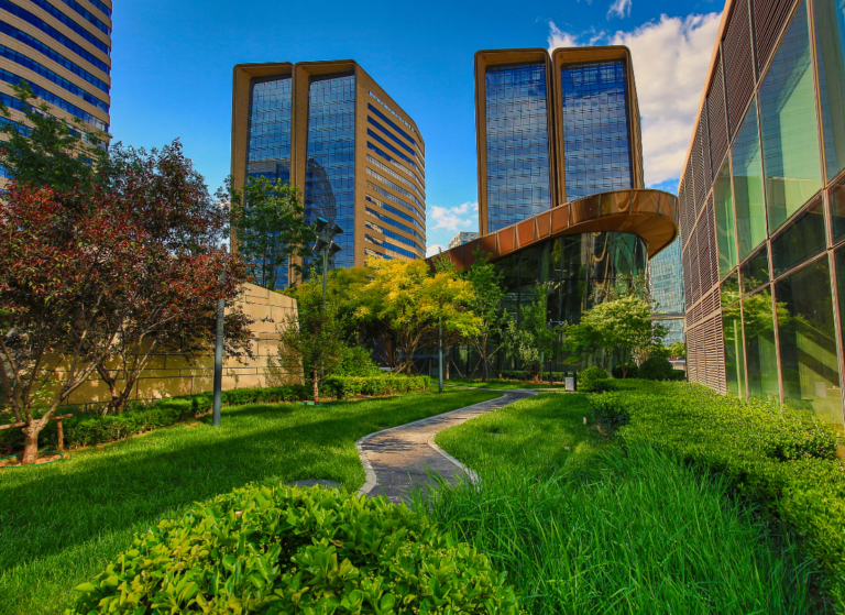 Urban Green Spaces: Why Cities Need More Parks and Tree - The Happy ...