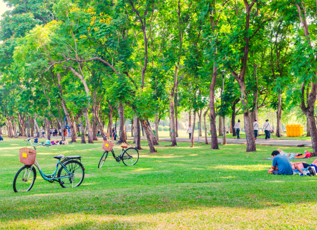 Urban Green Spaces: Why Cities Need More Parks and Tree - The Happy ...